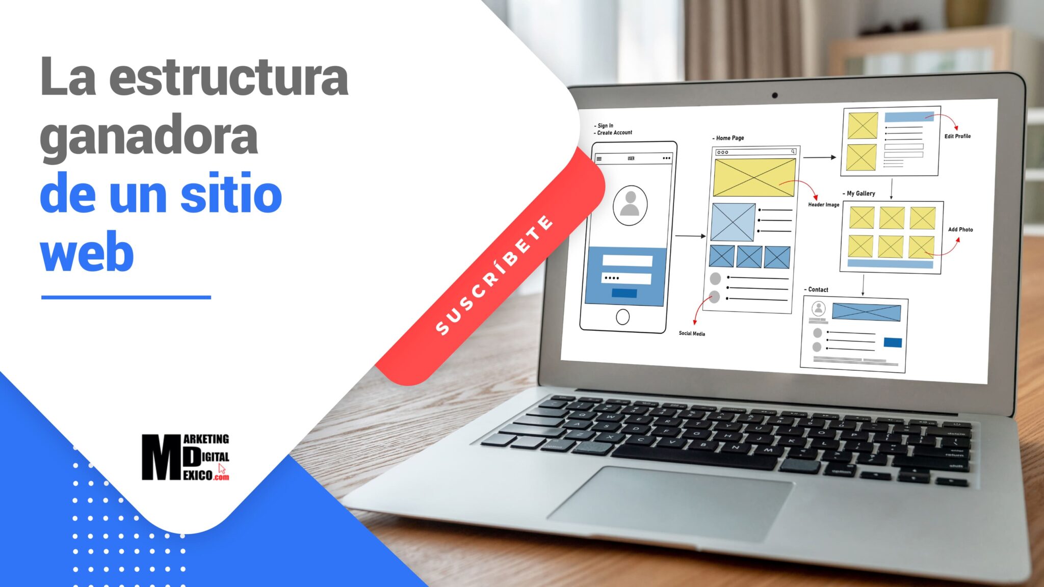 Un Sitio Web y las Claves del Éxito Comercial | MDM